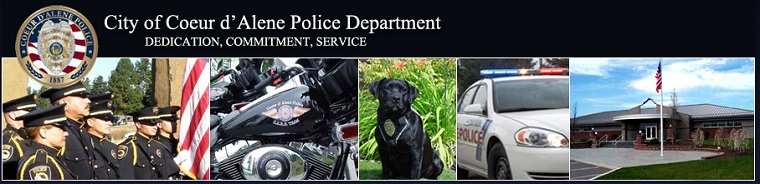 Citizens Online Police Reporting System